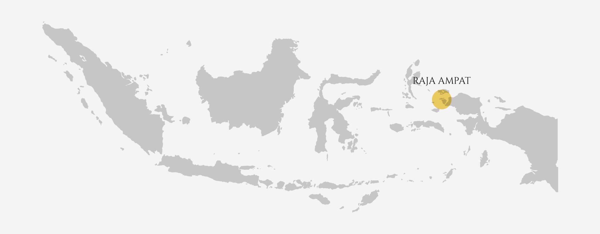Raja Ampat Diving Trip & Cruise | Jakare Liveaboard